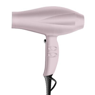 China 1800W - 2200W Professional Salon Hair Dryer , Ionic Far Infrared Hair Dryer for sale