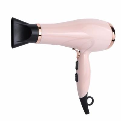 China OEM Electric Professional Salon Hair Dryer For Commercial Hotel Household for sale