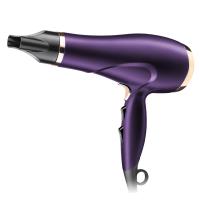 China OEM Electric Professional Salon Hair Dryer For Commercial Hotel Household for sale
