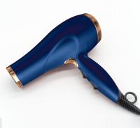 China OEM Electric Professional Salon Hair Dryer For Commercial Hotel Household for sale