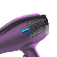 China AC Motor Professional Salon Hair Dryer With Concentrator Nozzle CE Certified for sale