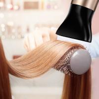 China Professional 1875W Ionic Hair Dryer With Diffuser Concentrator for sale