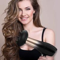 China Professional 1875W Ionic Hair Dryer With Diffuser Concentrator for sale