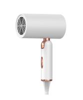 China Ionic Professional Foldable Hair Dryer 1800 Watt For Travel Hotel for sale