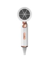 China Ionic Professional Foldable Hair Dryer 1800 Watt For Travel Hotel for sale