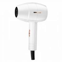 China Plastic DC Motor Hair Dryer With 0-1-2 Switch, Concentrator And Over Heating Protection for sale