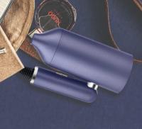 China 50/60Hz Ionic Hair Dryer Professional Salon Hair Blower For Home Use for sale