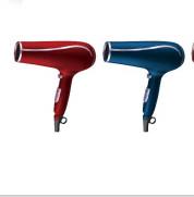 China Sleek Design Ionic Hair Dryer Ionic Hair Styler With Multiple Attachments for sale