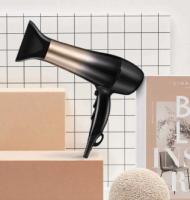 China 1800W-2200W Ionic Professional Hair Dryer 50/60Hz Gift Box Package for sale