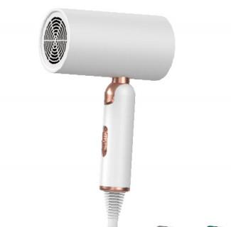 China Abs Plastic High Speed Hair Dryer 2000w For Rapid Hair Drying Cartridge Spindle for sale
