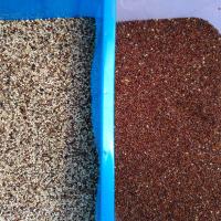 China Sesame Pepper Color Sorting Machine With Ce Certificate for sale
