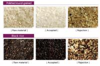 China Multi-Function 6 Chutes Rice Grain Color Sorter Selctor Machine Sorting For Rice Cereals for sale