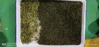China Two Layers Green Black Tea Sorting Machine Removing Yellow Sticks for sale