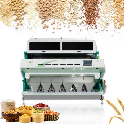 China 6 Chutes 384 Channels Millet Grain Bean Dried Nuts Color Sorter 2 Years Warranty for sale