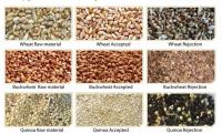 China Mini Multi Function Grain Sorting Machine For Grain Cereal for sale