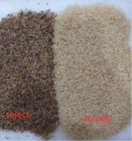 China Mini Rice Mill Color Sorter for sale