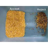 China PVC PET PC Plastic Color Sorting Machine Intelligent 32 Channels for sale