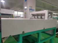 China White Magnesite Rocks CCD Color Sorter Machine For Ore Mineral Rock for sale