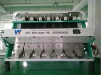 China AI Self Learning CCD Optical Multifunction India Garlic Color Sorter High Accuracy for sale