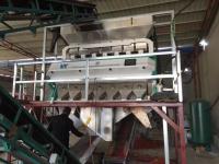 China WENYAO Parboiled Japonica Sorghum Rice Color Sorter 8 Chutes for sale