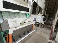 China Parboiled White Rice Colour Sorter Machine 3000kg/h - 4000kg/h for sale