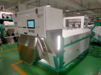 China 3t/H Sacha Inchi Sorting Machine CE Certificated Intelligent for sale