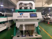 China Wenyao AI Self Learning Cotton Seed Sesame Coix Seed Color Sorting Machine Compact for sale