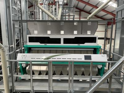 China Wenyao Patent Candle Nuts Color Sorter CE Iso9001 Certificate for sale