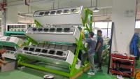 China High Precision Green Black Tea Processing Line Color Sorting Machine for Sale for sale