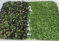 China Corn Walnut Chickpea Peanut Olive Color Separator Roasted Nut Cardamom Color Sorting Machine for sale