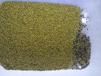China Corn Walnut Chickpea Peanut Olive Color Separator Roasted Nut Cardamom Color Sorting Machine for sale