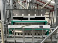 China CCD Camera 10 Tons Rice Color Sorter Machine Rice Sorting Machine With AI Technology for sale