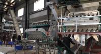 China CCD Camera 10 Tons Rice Color Sorter Machine Rice Sorting Machine With AI Technology for sale