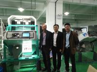 China Farm Use Oats Color Sorter Intelligent CCD Color Sorting Machine With CE Certification for sale