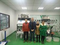 China Coffee Bean Nuts Color Sorter AI CCD Separator Soybean Rice Sorting Machine for sale