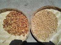 China Coffee Bean Nuts Color Sorter AI CCD Separator Soybean Rice Sorting Machine for sale