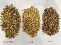 China Upgraded Multi Function Grains Optical Color And Shape Sorter For Cereal / Lentils / Barley for sale