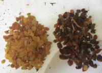 China Corn Walnut Chickpea Peanut Olive Color Separator Roasted Nut Cardamom Color Sorting Machine for sale
