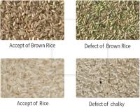 China Wenyao CCD Optical Rice Cleaning Color Sorting Machine Cheap Rice Color Sorter for sale