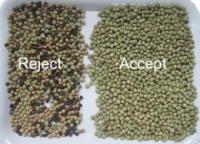 China 2 T/H Touch Panel Beans Color Sorter With High Precision CCD Camera for sale