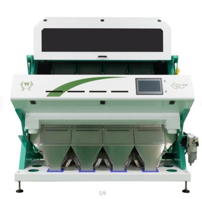 China Corn Bean Wheat Grain Hazelnut Color Sorter High Accuracy Wheat Sorter Machine for sale