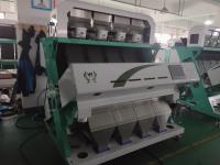 China AI Technology 256 Channels Buckwheat Color Sorter Automatic Grain Color Sorting Machine for sale