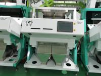 China High Quality Almond Color Sorter Machine Apricot Color Sorting Machine for sale