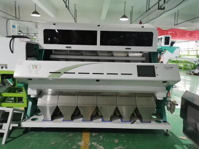 China 6 Chute Wheat Barley Color Sorter Machine Oat Color Sorting Machine for sale