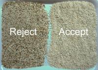 China WENYAO Fine Sorting Multi-Color Detection for Rice Sorting Operations Color Sorting Machine Parboiled Rice Long Grain for sale