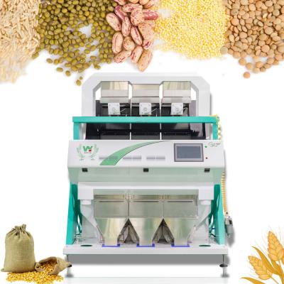 China Wenyao 3 Chutes 192 Channels High Capacity Medicago Ruthenica Seeds Color Sorting Machine Sunflower Seeds Color Sorter for sale