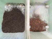 China High Accuracy Tea Color Sorter Machine Optical Sorting Solution Quickly Remove Tea Stems Seeds for sale