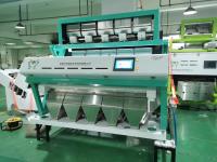 China Automatic Almond Color Sorting Machine Cashew Hazelnut Peanut Color Sorter for sale