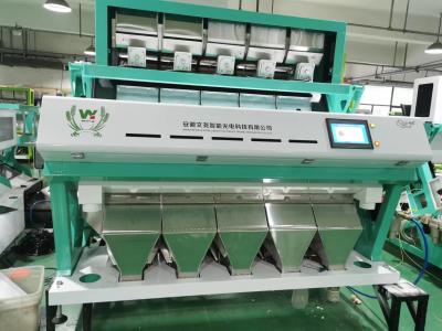 China Coffee Bean Color Sorter Machine Optical Full Color Camera Selector Machinery for sale