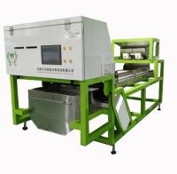 China High Quality Intelligent WYB2 Belt Garlic Color Sorter with High Accuracy Wifi Remote Control with CE Certificate for sale